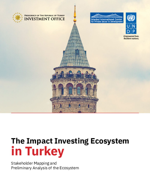 The Impact Investing Ecosystem in Turkey | Sustainable finance hub